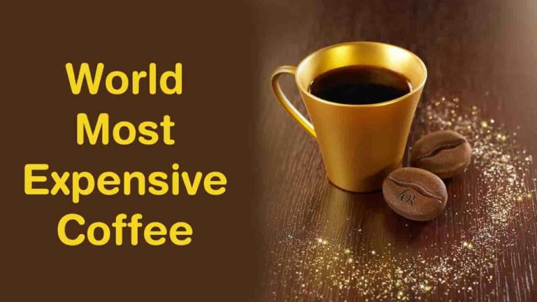 Top 10 Most Expensive Coffees in the World | AMG Coffee
